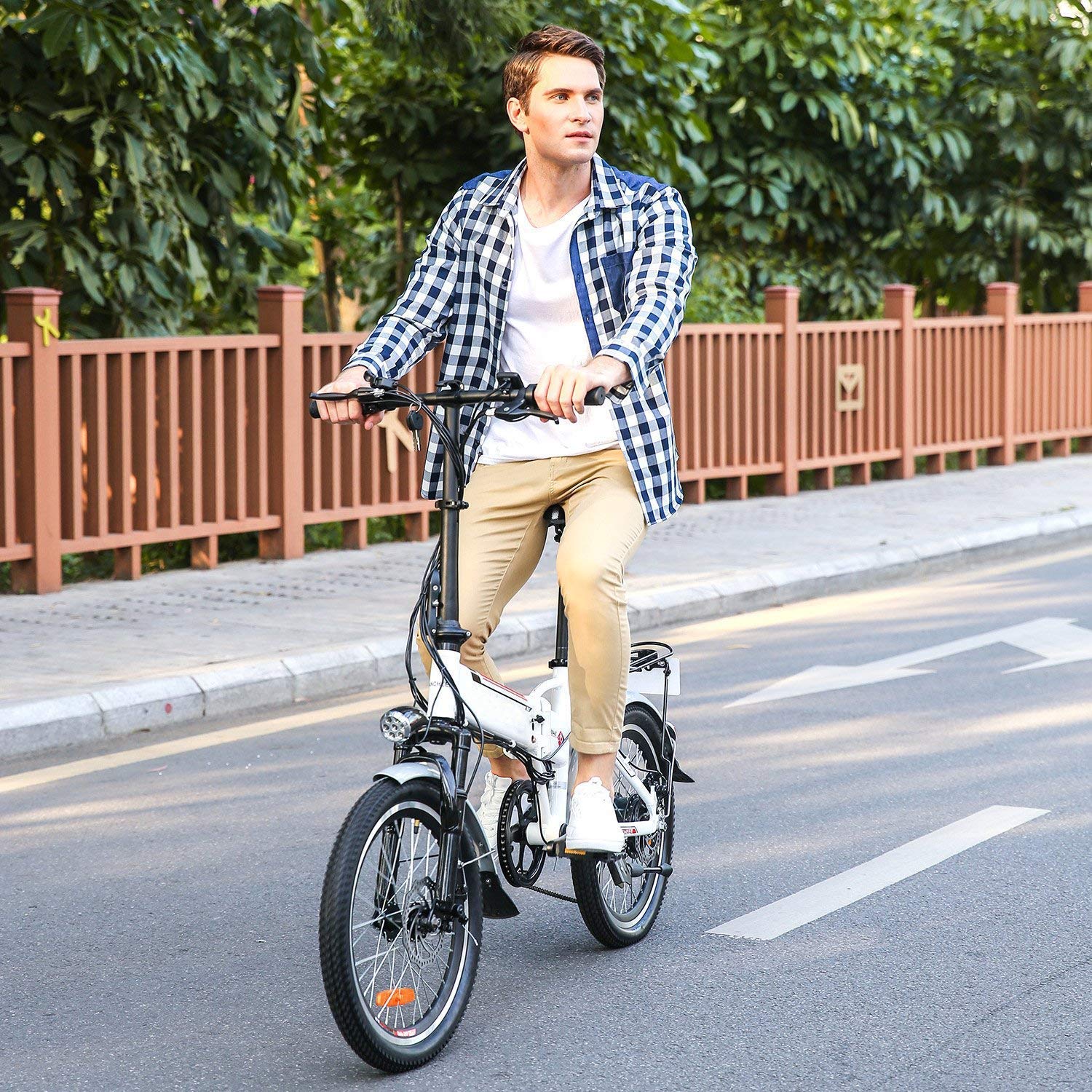20" Folding Electric Bike with Removable Large Capacity Lithium-Ion Battery (36V 250W), Electric Bicycle 7 Speed Gear and Three Working Modes