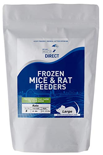 MiceDirect 5 Large Rats: Fresh Fast Frozen Food for Corn Snakes, Ball Pythons, Lizards