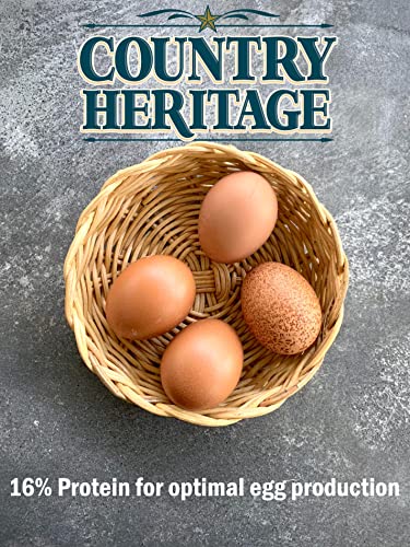 CountryMax Hen Egg Layer Pellet 16% Chicken Feed 50 Pounds