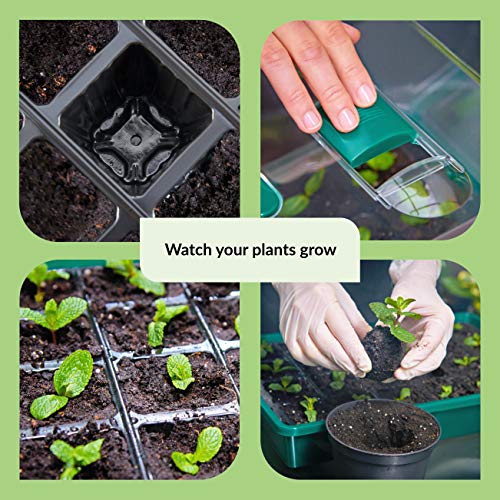 2 Pack Seed Starter Tray | 48 Cells Growing Set for Starting Seeds Indoor | Seed Starter Kit | Includes Humidity Dome with Adjustable Vents | Seedling Tray for Starting Plants and Vegetables
