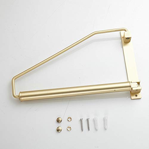 NEWRAIN Folding Wall Mounted Clothes Hanger Rack Clothes Hook Solid Brass with Swing Arm Holder Clothing Hanging System Closet Storage Organizer Heavy Duty Drying Rack Wall Mount,Brushed Gold