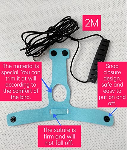 Bird Flight Harness Vest, Parrot Flight Suit with Leash for Parakeets Cockatiels Conures Budgies, Bird Flying Clothes with Rope and Handle for Outdoor Activities Training, Anti Bite (M, Blue)