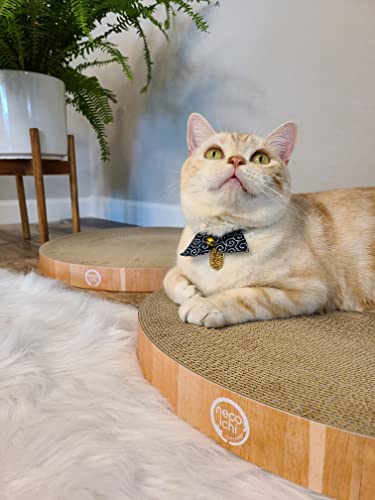 Cozy Cat Scratcher Bowl Replacement Pad (2 Pack), 100% Recycled Paper, Chemical-Free Materials (Regular, Oak)