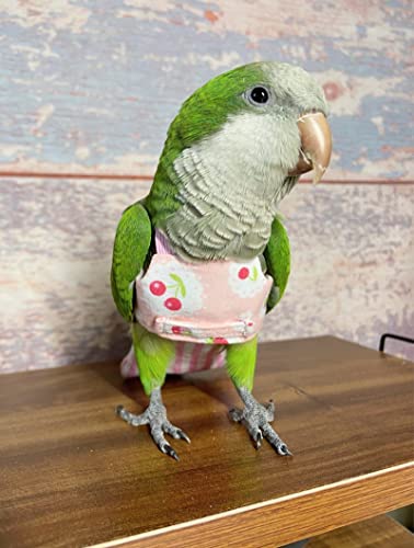 Bird Flight Harness Vest, Parrot Flight Suit for Cockatiels Conures Budgies, Bird Flying Clothes for Outdoor Activities Training