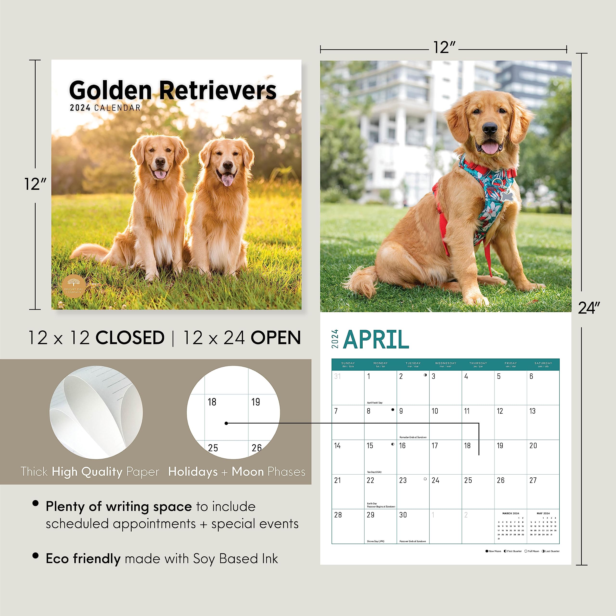 2024 Golden Retrievers Monthly Wall Calendar by Bright Day, 12 x 12 Inch Cute Dog Breed Gift