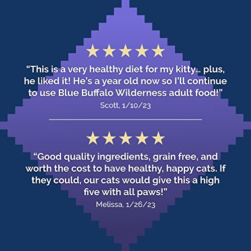 Blue Buffalo Cat Food for Kittens, Natural Chicken Recipe, High Protein, Dry Cat Food, 5 lb bag