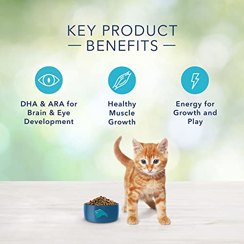 Blue Buffalo Freedom Grain Free Natural Indoor Kitten Dry Cat Food, Chicken 5-lb