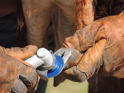Basic Goat Hoof Trimmer Set β Electric Plug-in -110volt β Accessories Included