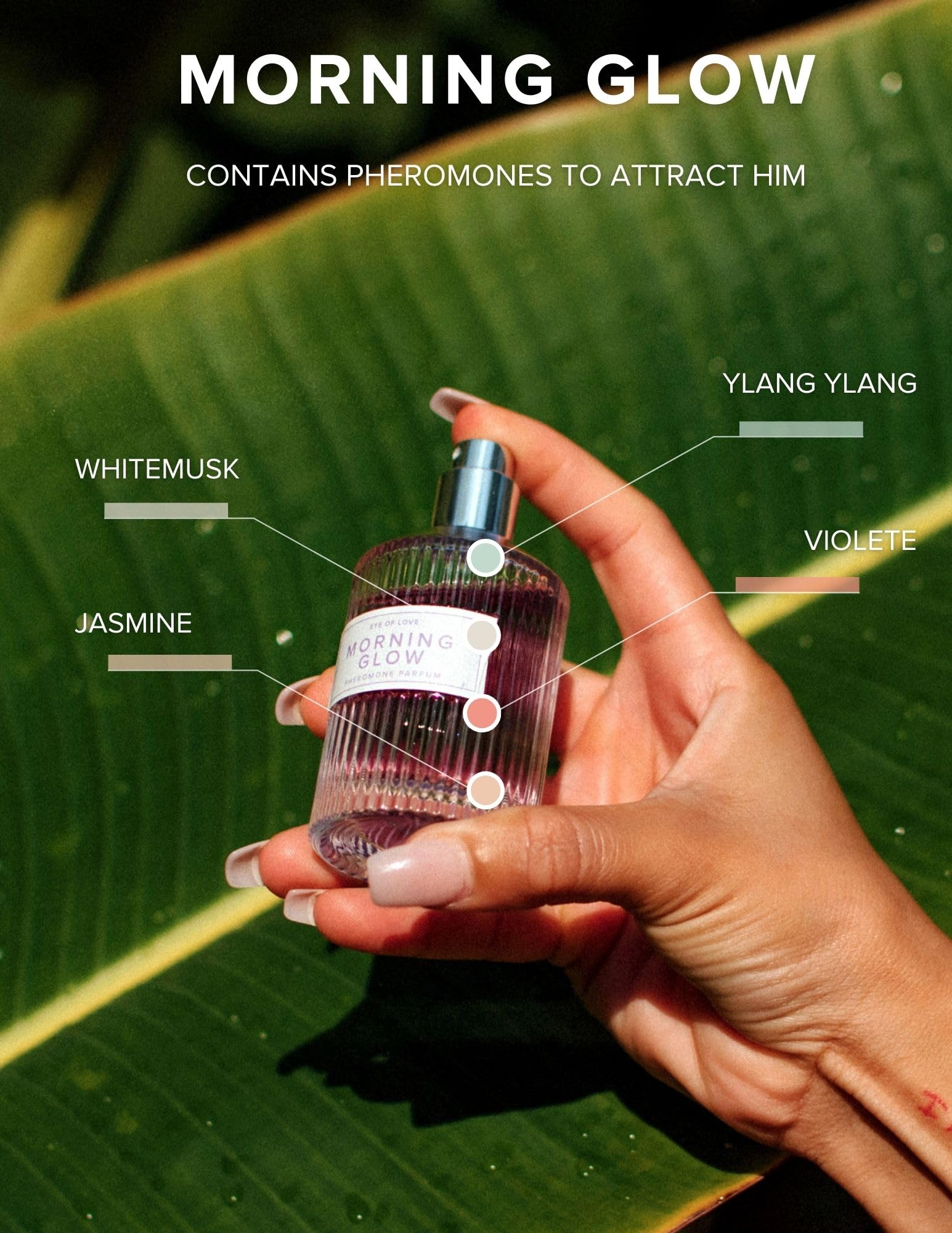 Eye Of Love Morning Glow Pheromone Perfume for Women - Unleash Elegance & Confidence - 50ml Deluxe Parfum - Feminine Allure for Day and Night