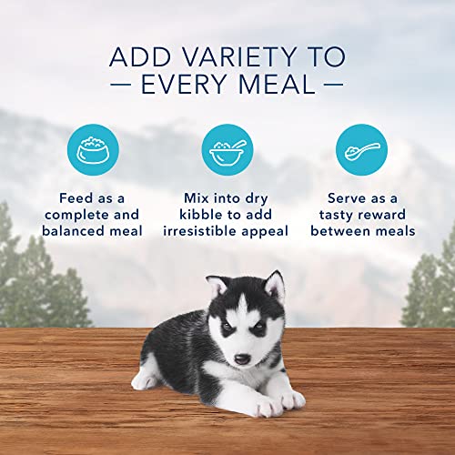 Blue Buffalo Wilderness High Protein, Natural Puppy Wet Dog Food, Turkey & Chicken Grill 12.5-oz cans (Pack of 12)