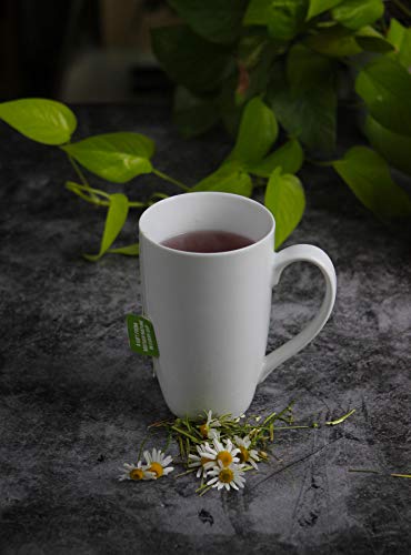Amuse- Professional Barista Large Cozy Tall Mug for Coffee, Tea or Latte - Set of 6-16 oz