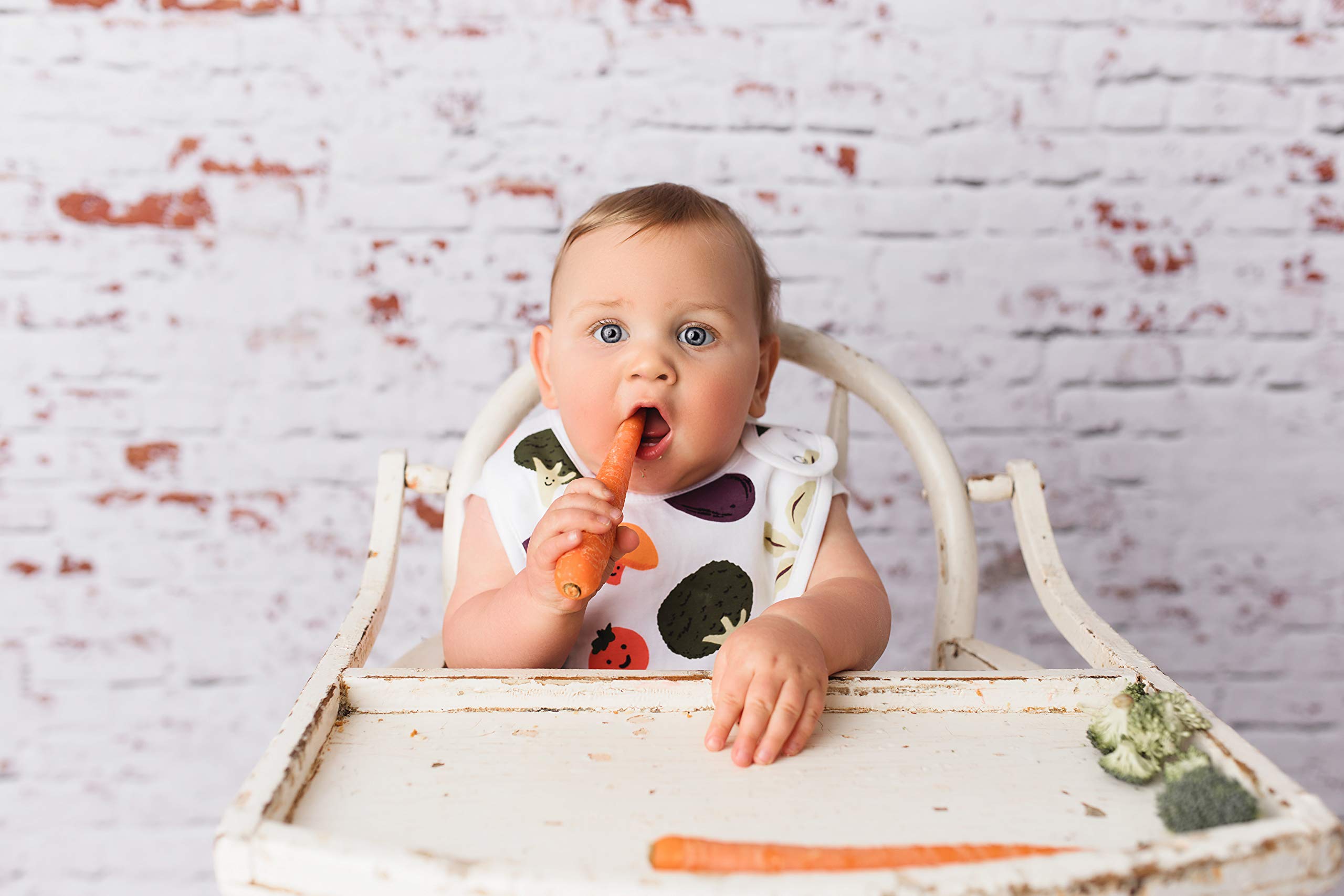 KUDL Baby Bib Large Toddler Burpy Absorbent Feeding Reflux Drool Teething Snap Button (Farm)