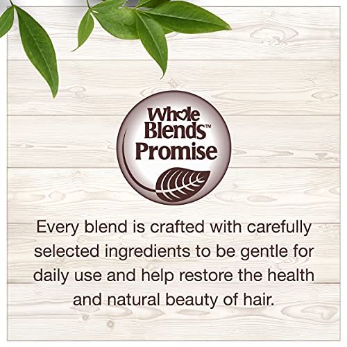 Garnier Whole Blends Moroccan Argan & Camellia Oils Moisturizing Leave-in Conditioner for Dull Hair, 5.1 Fl Oz, 1 Count (Packaging May Vary)