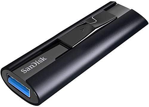 SanDisk Extreme PRO 256GB USB 3.2 Solid State Flash Drive for High Speed Transfer 420MB/s Read Speed - Works with Computers, Laptops (SDCZ880-256G-G46) Bundle with (1) Everything But Stromboli Lanyard