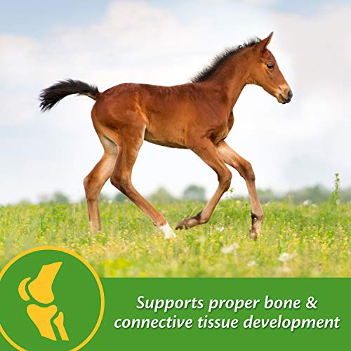 Farnam Grow Colt Supplement for Growth & Development, Supports Normal, consistent Growth in First Years of foal's Life, 7.5 lbs, 60 Day Supply