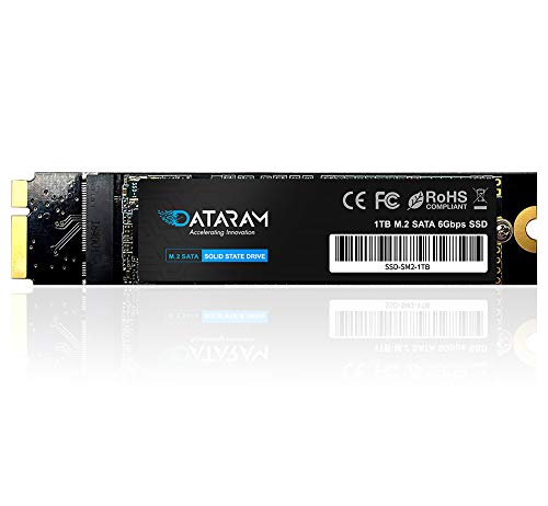 Dataram SSD for 2012 Apple MacBook Air EMC 2558 & EMC 2559, SATA-III M.2 2280 Internal SSD (1TB)