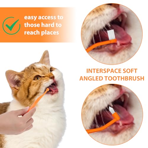 4pcs Dual Sided Cat Tooth Brush Small Dog Toothbrush Pet Toothbrush Teeth Cleaning with Micro Brush Head & Curved Handle Cat Dental Care Supplies
