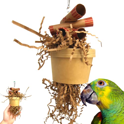 Bonka Bird Toys 3868 Money Pot Small Medium Bird Toy Treat Box Foraging Paper Chew Coin Tube Shred Cockatiel Parakeet Conures and Other Similar Birds