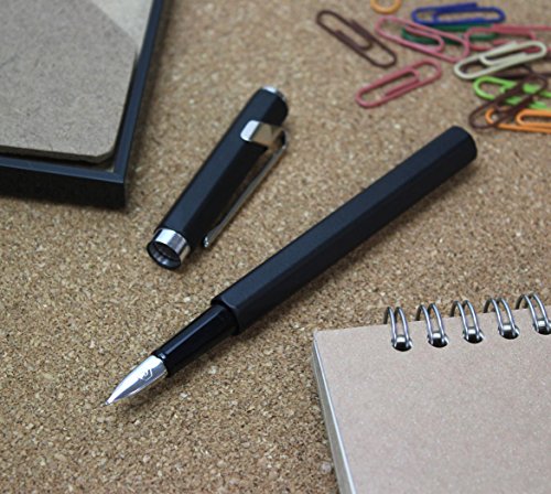 Caran d'Ache 849 0841-009 Fountain Pen, F, Fine Point, Black, Dual Use Type