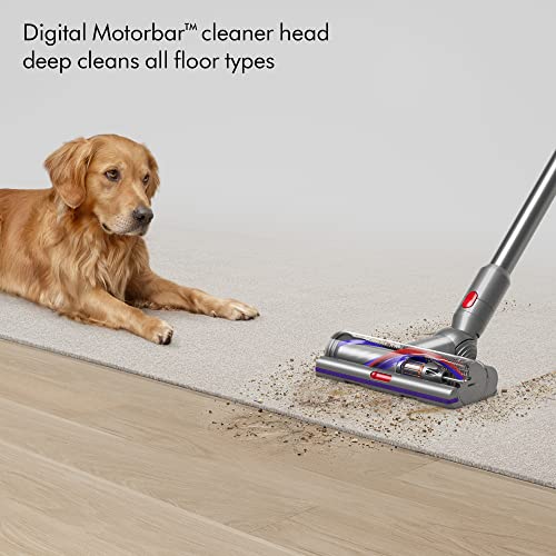 Dyson V15 Detect Cordless Vacuum Cleaner, Yellow/Nickel