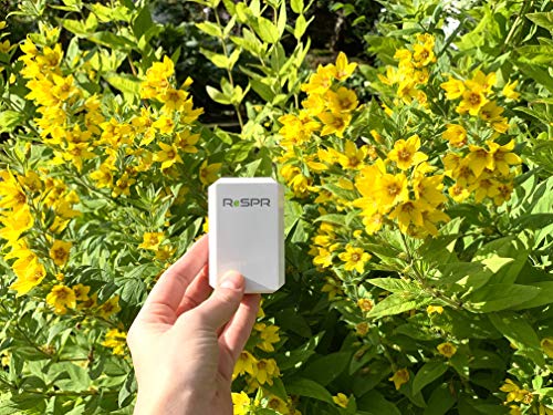 ReSPR SeLF Wearable Personal Ionizer Air Purifier for Indoor and Outdoor Use- Rechargeable, Proprietary Ionizing Technology - Includes Necklace Lanyard