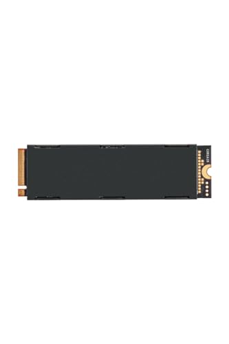 Corsair Force Series MP600 1TB Gen4 PCIe X4 NVMe M.2 SSD, Up to 4,950 MB/s (CSSD-F1000GBMP600)