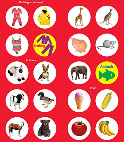Super Duper Publications | Classifying Photo Fish- Transportation, Clothing, Animals, Food, and Around The Home Vocabulary Magnetic Game | Educational Materials for Children