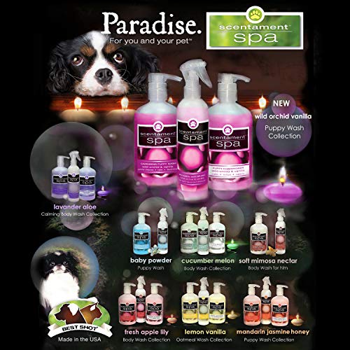 Best Shot Scentament Spa Botanical Body Splash, Detangler Spray, Body Spray for Pets, Cat and Dog Cologne Spray, Lemon Vanilla, 8 Oz.
