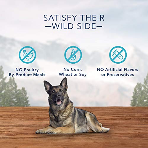 Blue Buffalo Wilderness Wild Bones Grain Free Dental Chews Dog Treats, Large 10-oz Bag