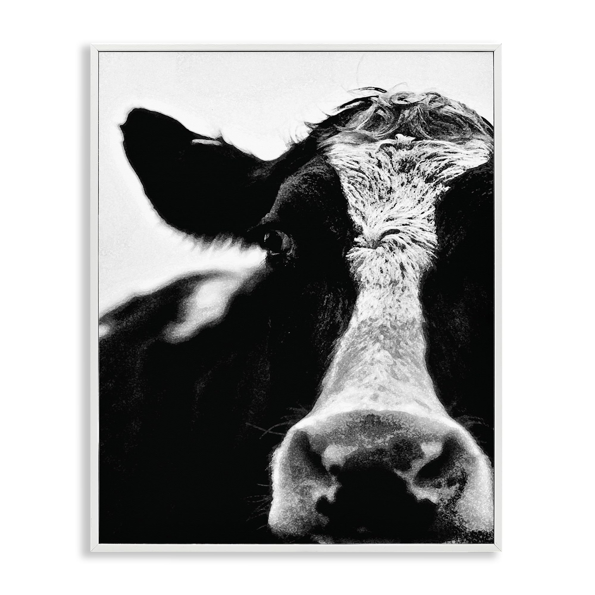 Stupell Industries Cow Black And White Close Up