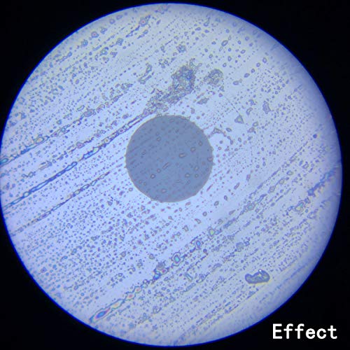 Fiber Optic Inspection Microscope 400x LED Illumination Handheld Anti Slip Rubber SC/LC/FC Connection Fiber Cable Microscope Detector