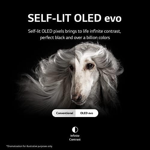 LG OLED G1 Series 65” Alexa Built-in 4k Smart OLED evo TV (3840 x 2160), Gallery Design, 120Hz Refresh Rate, AI-Powered 4K, Dolby Cinema, WiSA Ready (OLED65G1PUA, 2021)