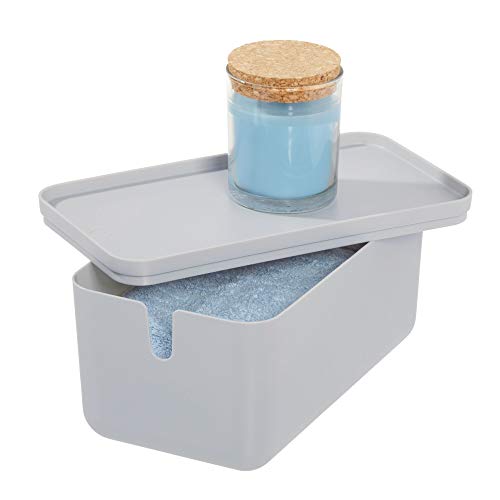 iDesign - 29843 BPA-Free Plastic Toilet Paper Stand and Bowl Brush Set, Storage Bin, Matte Gray