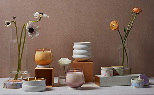 Illume Spring Fling Collection, 3-2.5 oz Votive Candle Set, Gift, Multi-Colored
