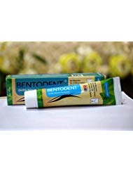 Bentodent Natural Toothpaste for Entire Family Incl Kids - SLS Free, Fluoride Free - Freshens Breath, Helps Reduce Plaque by Brushing (Premium Mint)