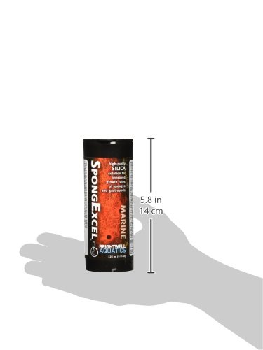 Brightwell Aquatics "SpongExcel" Silica Solution