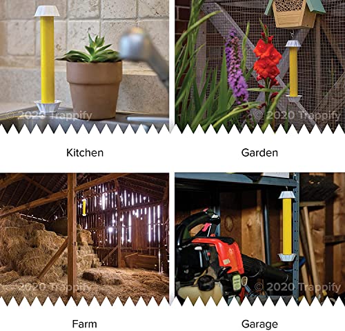 Trappify Hanging Fly Traps Outdoor: Fruit Fly Traps for Indoors | Fly Catcher, Gnat, Mosquito, & Flying Insect Catchers for Inside Home - Disposable Sticky Fly Trap for Indoor House Pest Control (2)