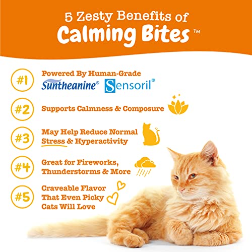 Zesty Paws Calming Chews for Cats - Composure & Relaxation for Everyday Stress & Separation - with Ashwagandha, Organic Chamomile, L-Theanine & L-Tryptophan – Bacon - 60 Count - Cat…