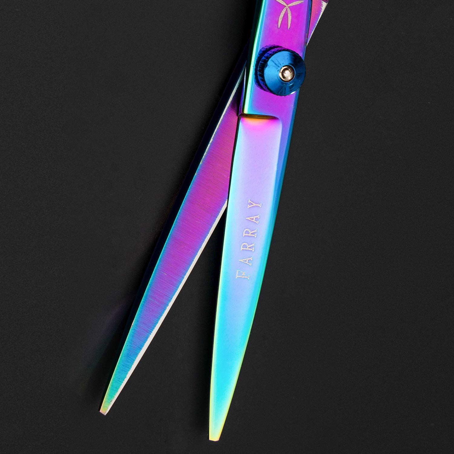 FARRAY 6.5" Professional Hair Cutting Scissors - Japanese Stainless Steel Barber Shears for Salon, Home, All Ages - Ergonomic Handle & Sharp Blades (Aurora color)