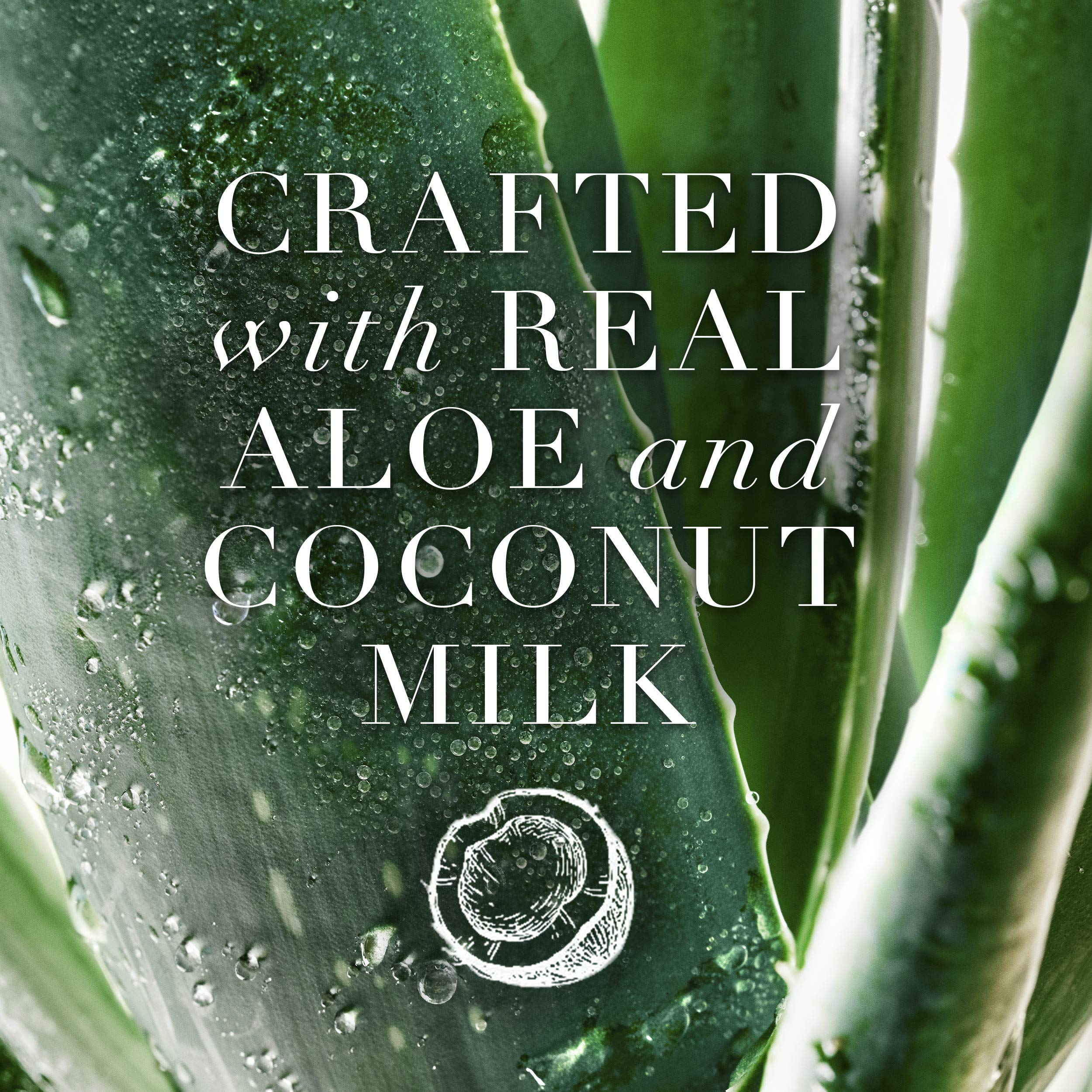 Herbal Essences Bio: Renew Coconut Milk & Aloe Hydrating Hair Mask for Dry Damaged Hair, 8 Fl Oz, 6.374 Fl Oz