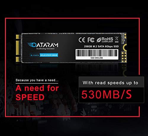 Dataram M.2 SSD 256GB, M.2-2280 Internal Hard Drive Sata Protocol, 550MB/S 6Gbps,High-Performance for Laptop PC, Desktop