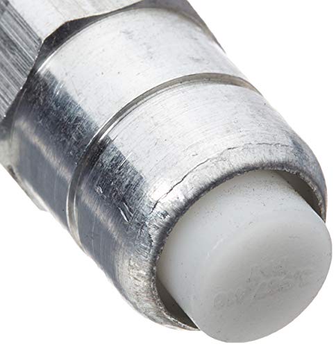 AR North America TPP1401/4A Thermal Relief Valve, 1/4-Inch
