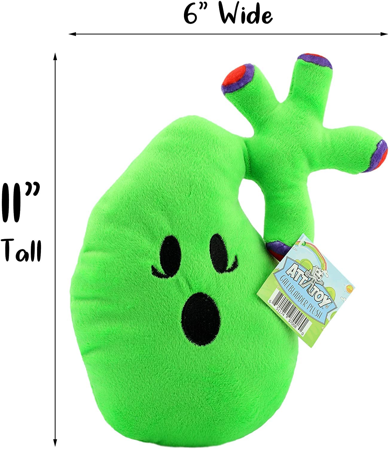 Attatoy Gallbladder Plush, Body Organ Stuffed Toy Complete with Gallstones