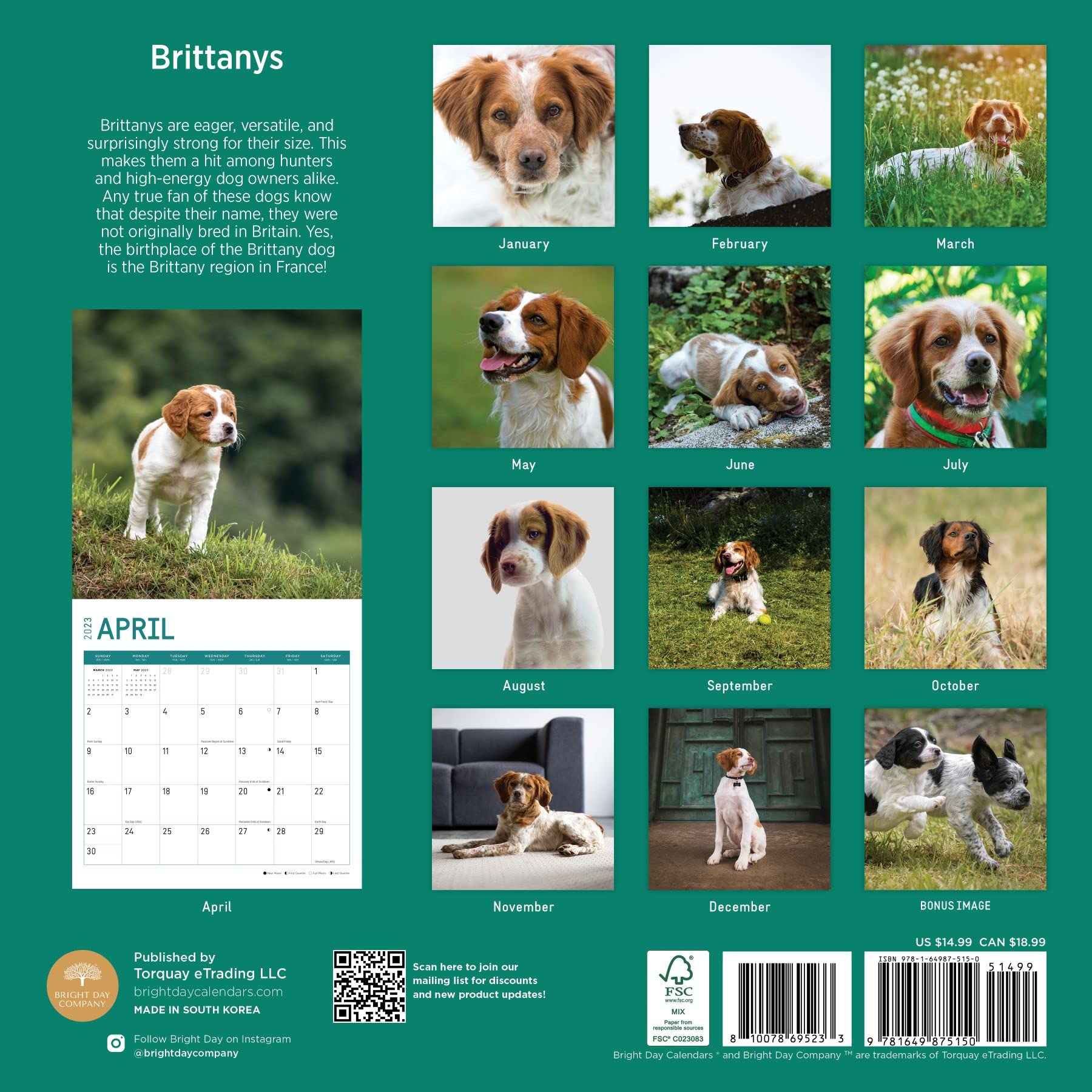 2023 Brittanys Wall Calendar by Bright Day, 12x12 Inch