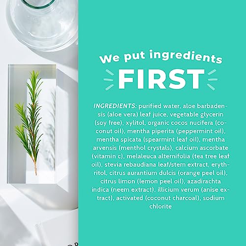 Dr. Brite Natural Whitening Mouthwash, Alcohol-Free, Doctor Formulated to Prevent Bad Breath - Mint, 16 oz