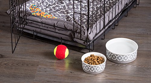 Bone Dry Lattice Pet Bowl, Removable Silicone Ring Creates Non-Slip Bottom for Secure Feeding & Less Mess, Microwave & Dishwasher Safe, Medium Set, 6x2", Gray, 2 Count
