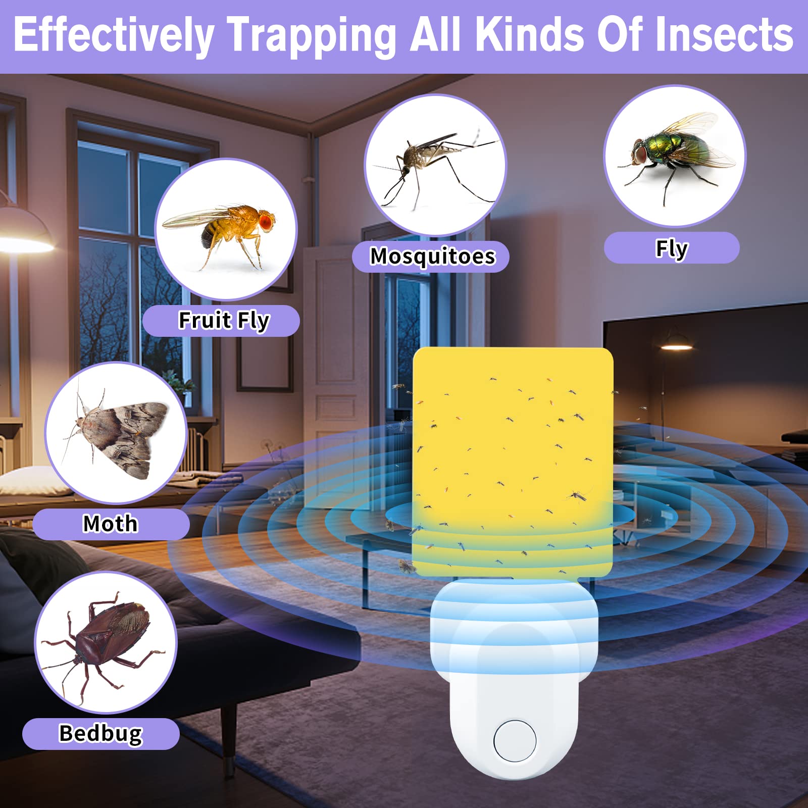 2023 Flying Insect Trap,Flying Insect Trap Indoor Plug in, Upgraded Uv Light Attractant Indoor Plug-in Night Light Fly Trap,for Catching Mosquitoes, Fruit Flies, Gnats,1 Pack with 5 Sticky Pad