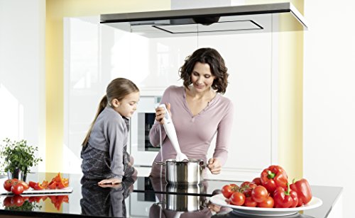 Braun MQ300 Multiquick 3 550-watt Hand Blender, 220-volt (European cord)