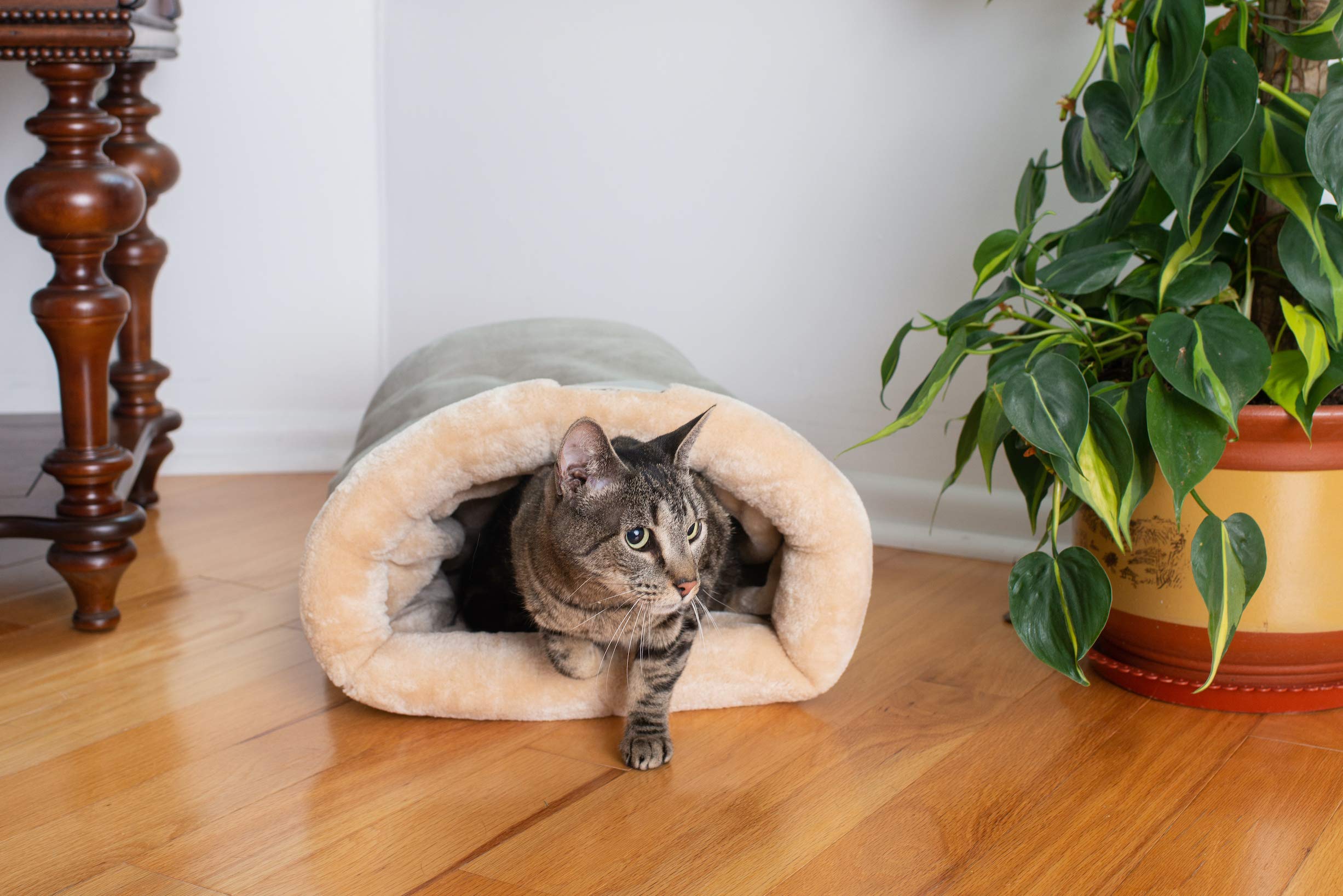 Armarkat Sage Green Cat Bed Size, 22-Inch by 14-Inch