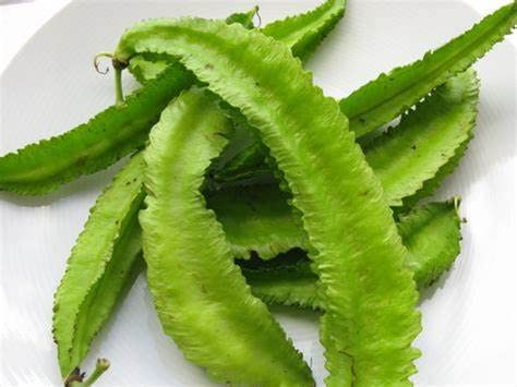 20+ Winged Bean Seeds Dragon Goa Asparagus Sigarilyas Chathura Payar Non GMO Heirloom